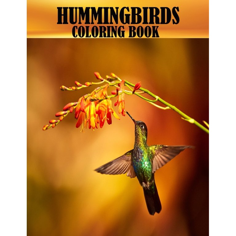 hummingbird flit coloring pages