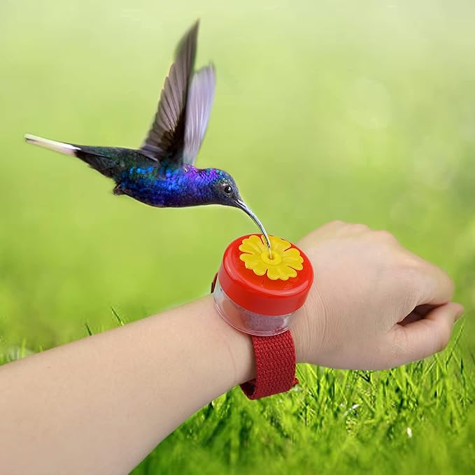 Hummingbirds Hand Feed Handheld Bird Flower Feeders Wrist Feeder with ...