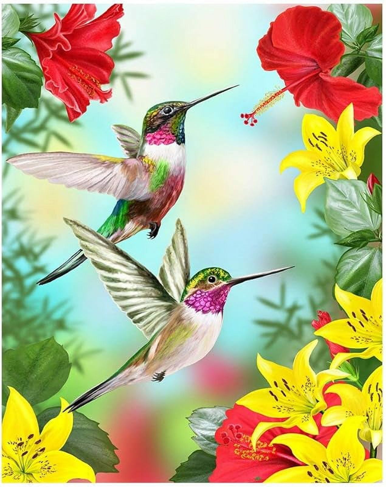 Hummingbirds Red Flower Hibiscus Yellow Lilies Birds Small Garden Yard ...