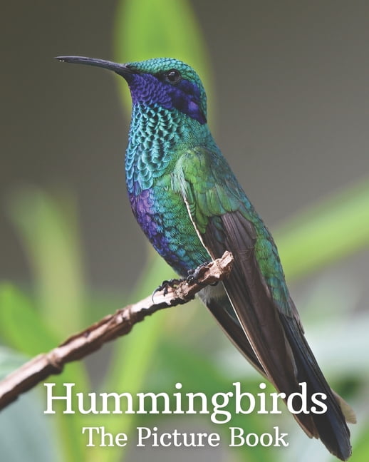 Hummingbirds: The Picture Book of Hummingbirds Great Gift for Parkinson ...