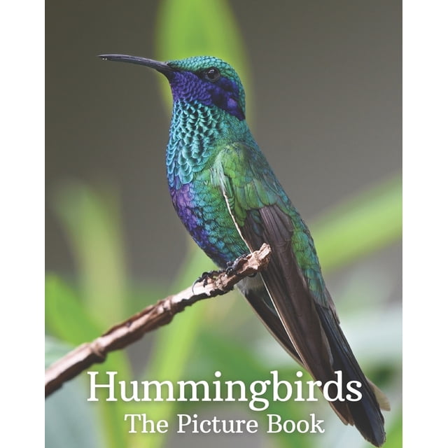 Hummingbirds: The Picture Book of Hummingbirds Great Gift for Parkinson ...