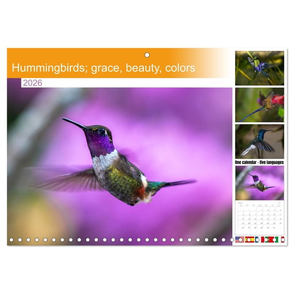 Hummingbirds; grace, beauty, colors (Monthly Wall Calendar 2026 11.7 x ...