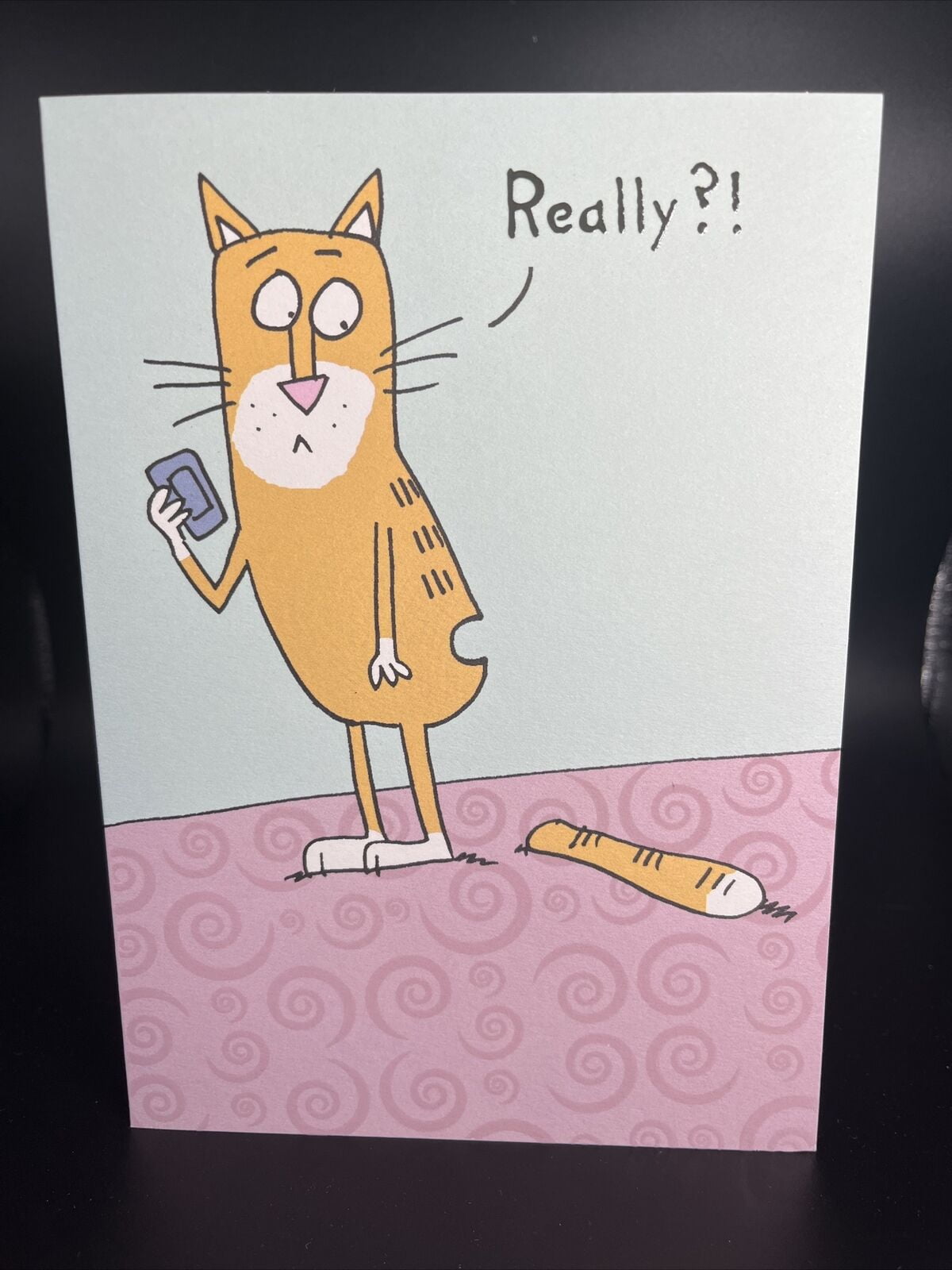 Humorous Birthday Greeting Card w/Envelope - Walmart.com