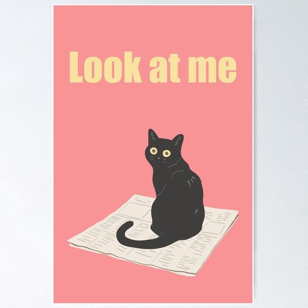 Humorous Cat Art : Look At Me Poster Wall Art, Modern Wall Decor For ...