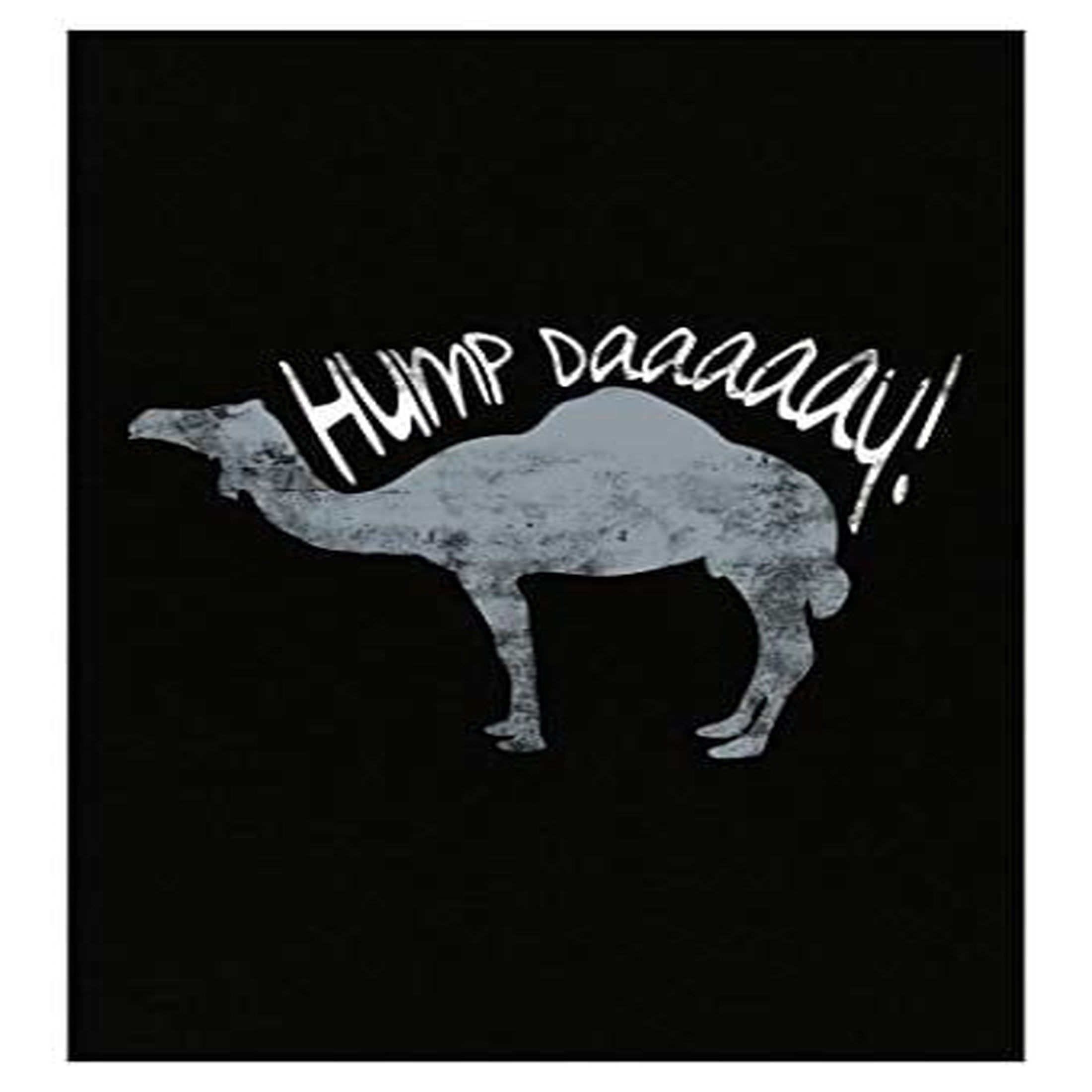 Hump Day Humor Poster - Wall Decor for Key Moments Gift - Walmart.com