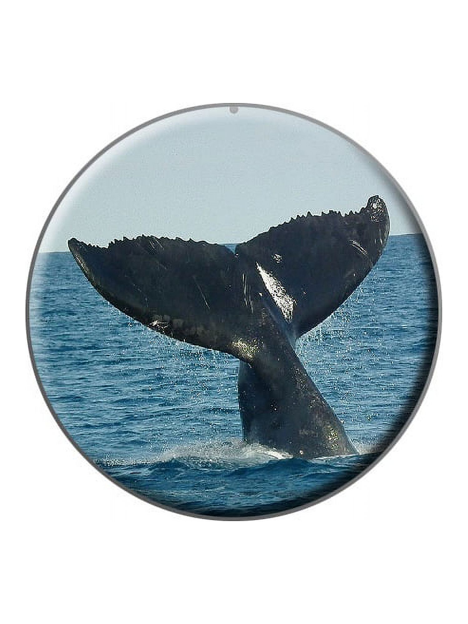 Humpback Tail - Ocean Whale Watching Lapel Hat Pin Tie Tack Small Round ...