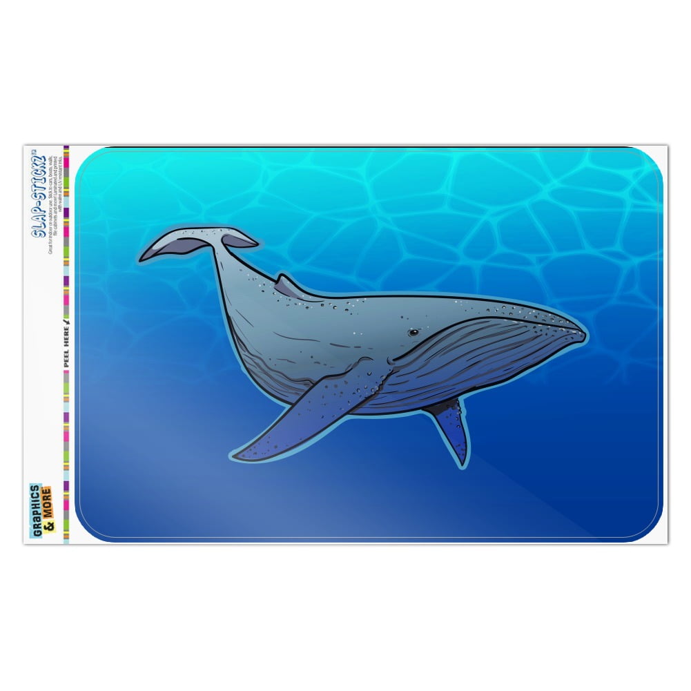 Humpback Whale Home Business Office Sign - Walmart.com
