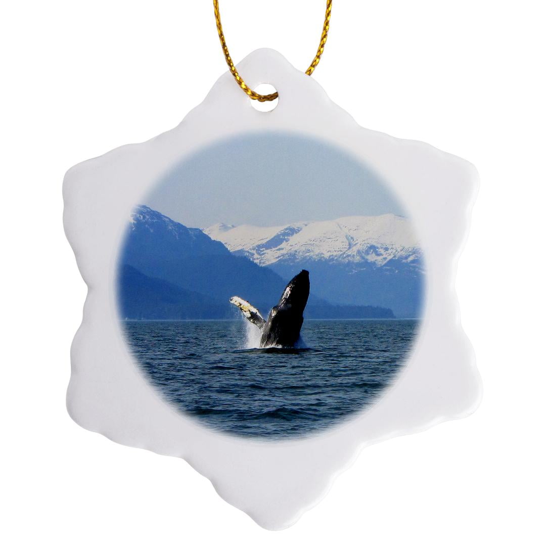 3drose, Humpback Whale Playing in the Lynn Canal in Southeastern Alaska ...