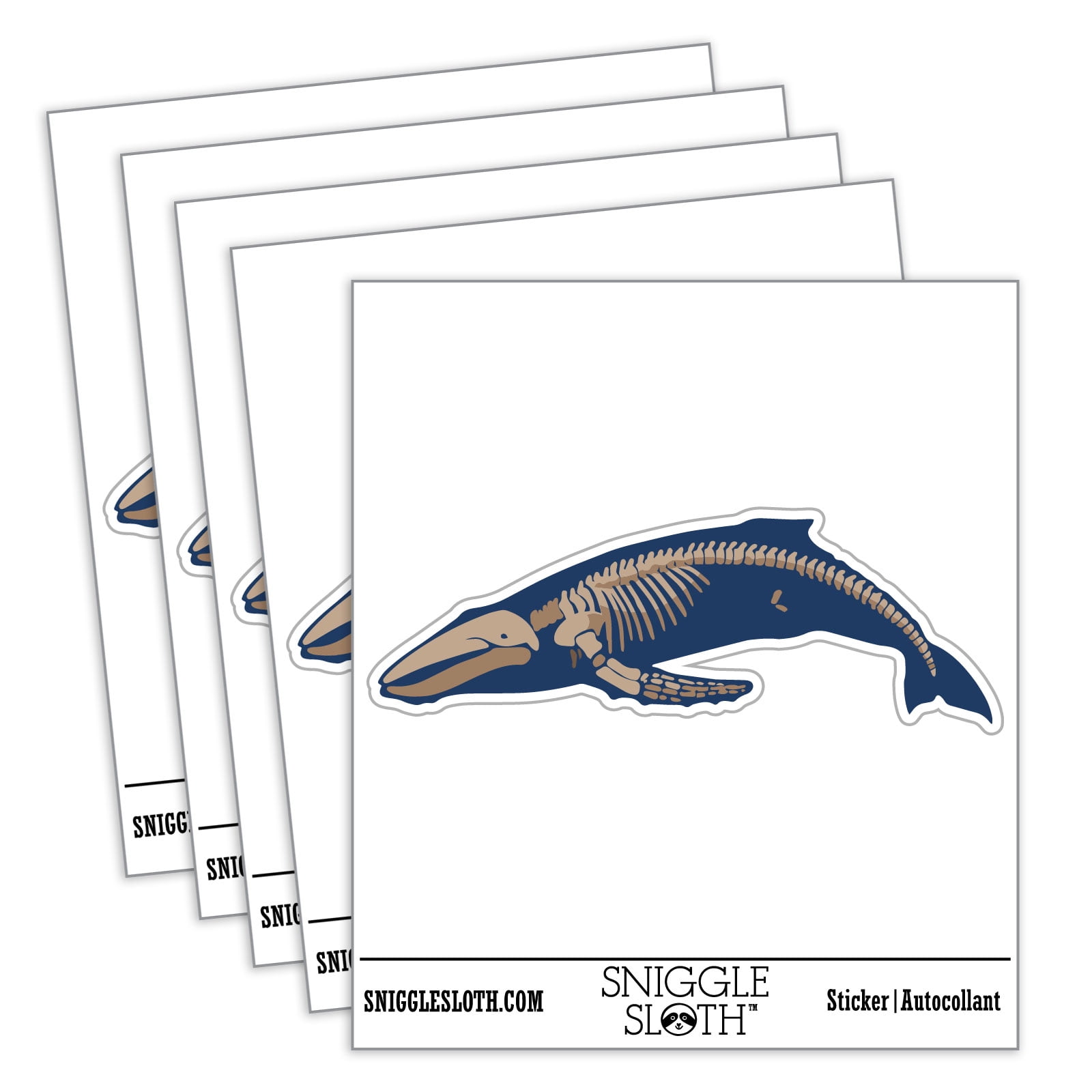 Humpback Whale Skeleton Bones Car Window Bumper Water Bottle Phone ...