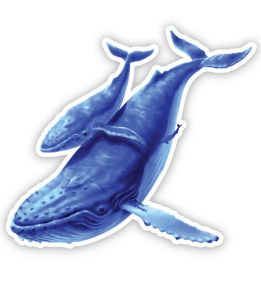 Humpback Whales - 12" Vinyl Sticker Waterproof Decal - Walmart.com