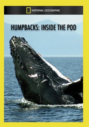 Humpbacks: Inside the Pod (DVD), National Geographic, Documentary ...
