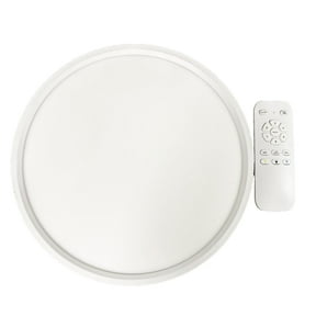 Remote Controlled Ceiling Light Fixture