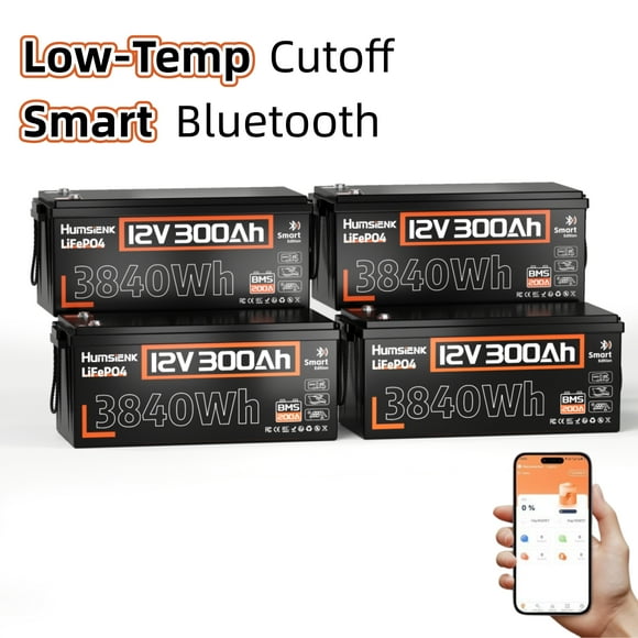 Lithium Deep Cycle Batteries in Lithium Batteries - Walmart.com
