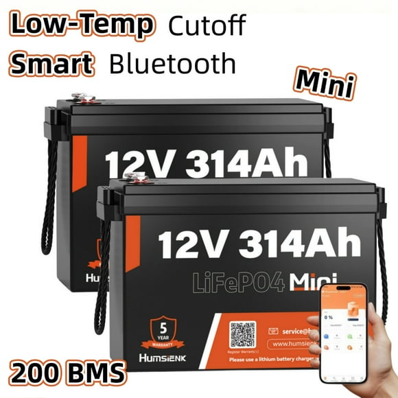Lithium Car Batteries in Lithium Batteries - Walmart.com