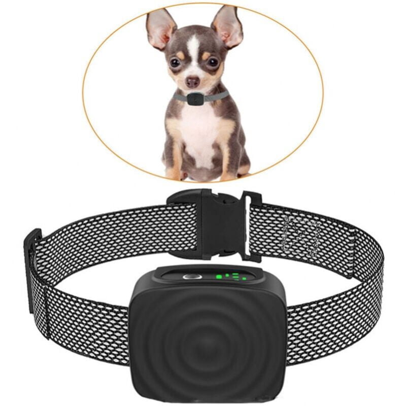 Hundehalsband für kleine/mittlere Hunde, 5–15 Pfund, stoßfrei ...