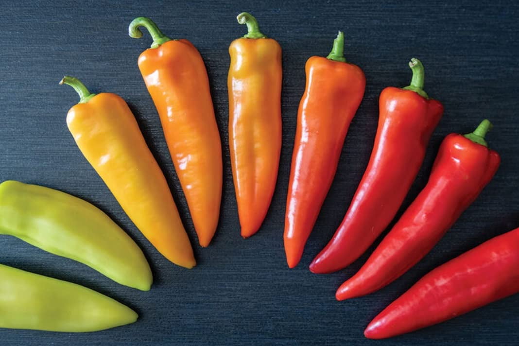 Hungarian Hot Wax Pepper Seeds for Planting (30 Seeds) - Grow Your Own ...
