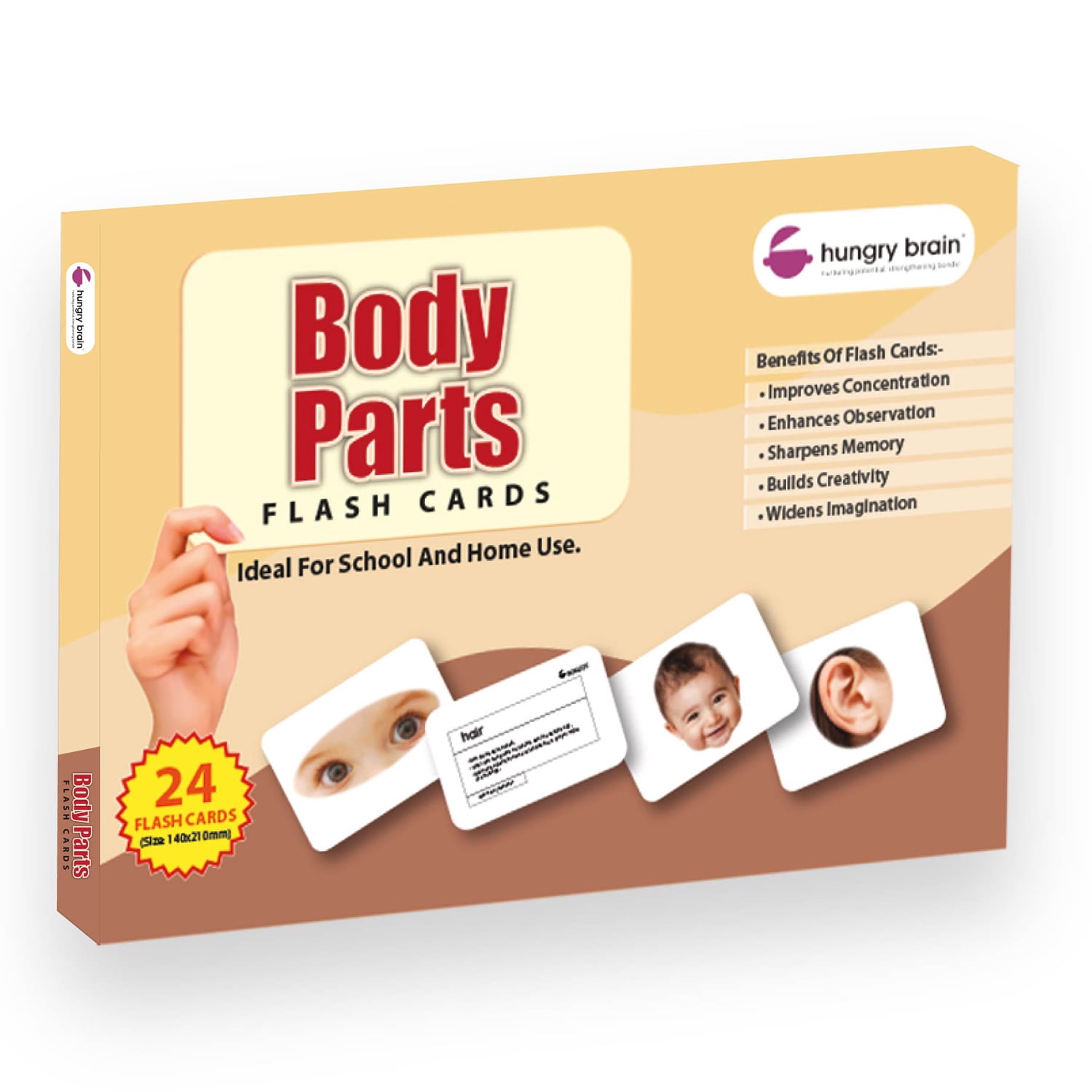 Hungry Brain Body Parts Flash Cards for Babies and Infants for Early ...