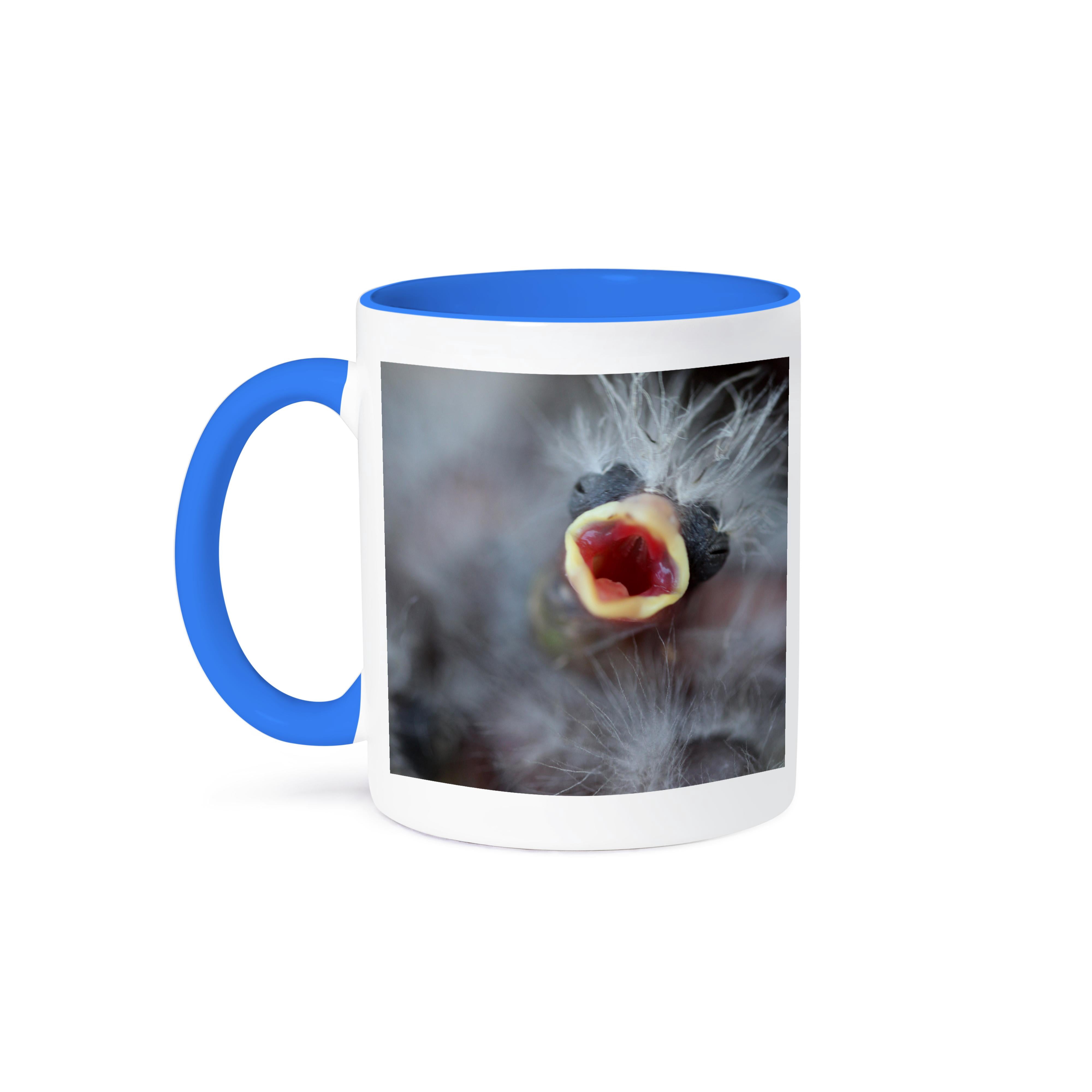 3dRose, Hungry baby bird opening its beak - chick, brood, nature, nest ...