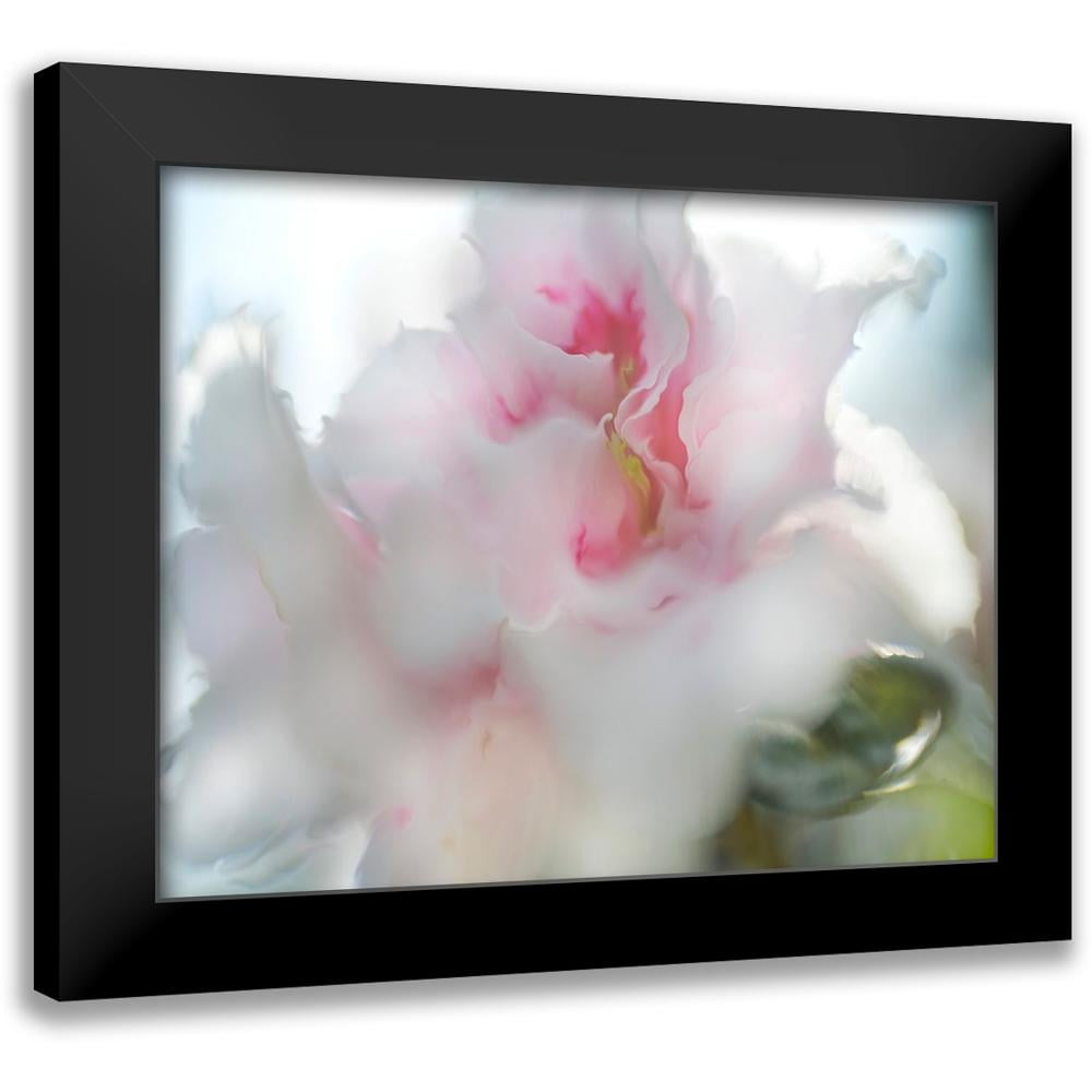 Hunt, Gillian 14x12 Black Modern Framed Museum Art Print Titled - Hope ...