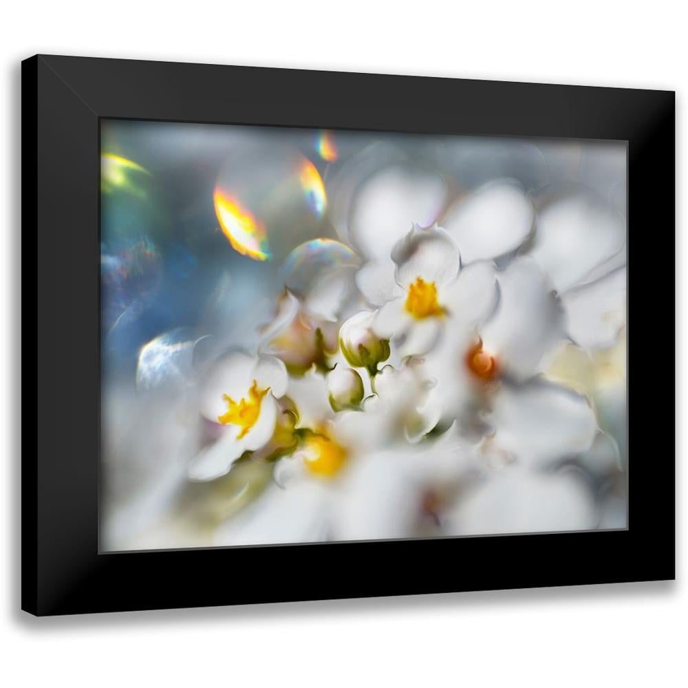 Hunt, Gillian 14x12 Black Modern Framed Museum Art Print Titled ...