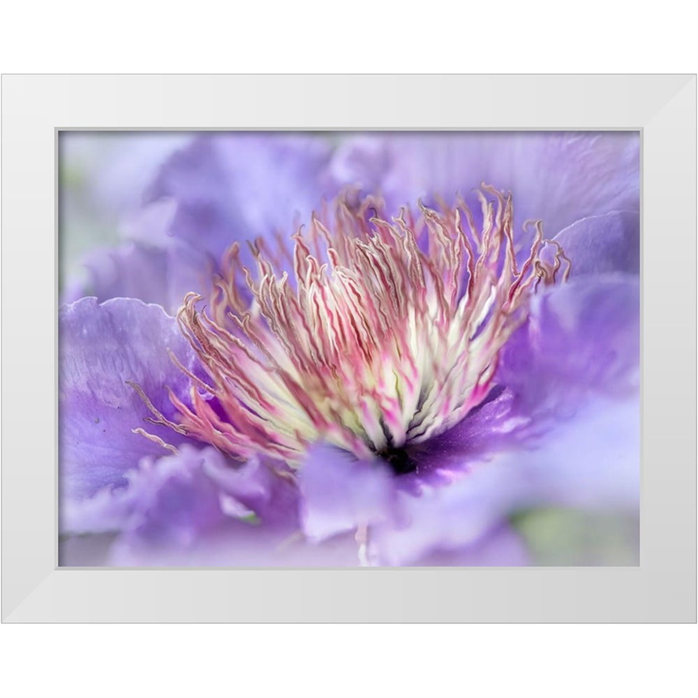 Hunt, Gillian 14x12 White Modern Wood Framed Museum Art Print Titled ...