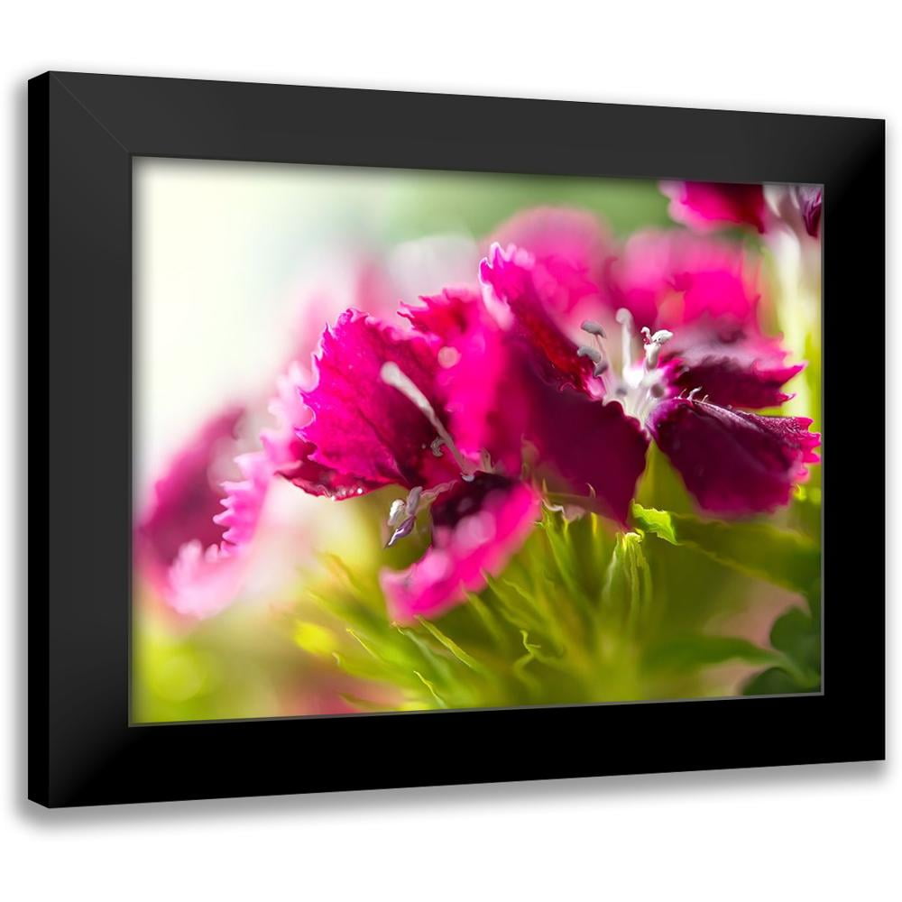 Hunt, Gillian 24x19 Black Modern Framed Museum Art Print Titled ...