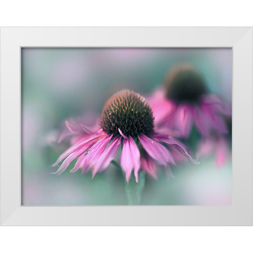 Hunt, Gillian 24x19 White Modern Wood Framed Museum Art Print Titled ...