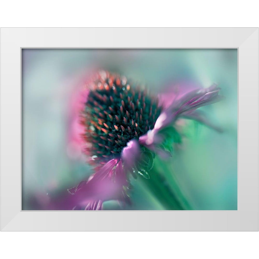 Hunt, Gillian 24x19 White Modern Wood Framed Museum Art Print Titled ...