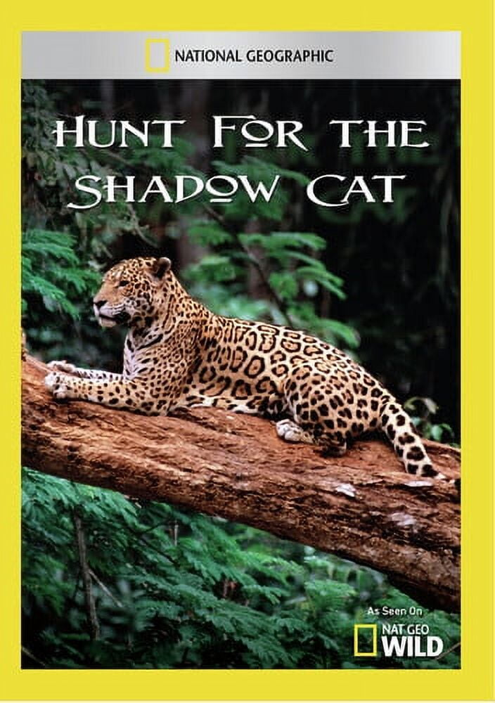 Hunt for the Shadow Cat (DVD), National Geographic, Documentary ...