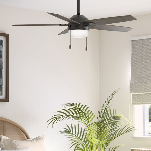 Hunter Fans - Astoria 52 Inch Ceiling Fan with LED Light Kit and Pull ...