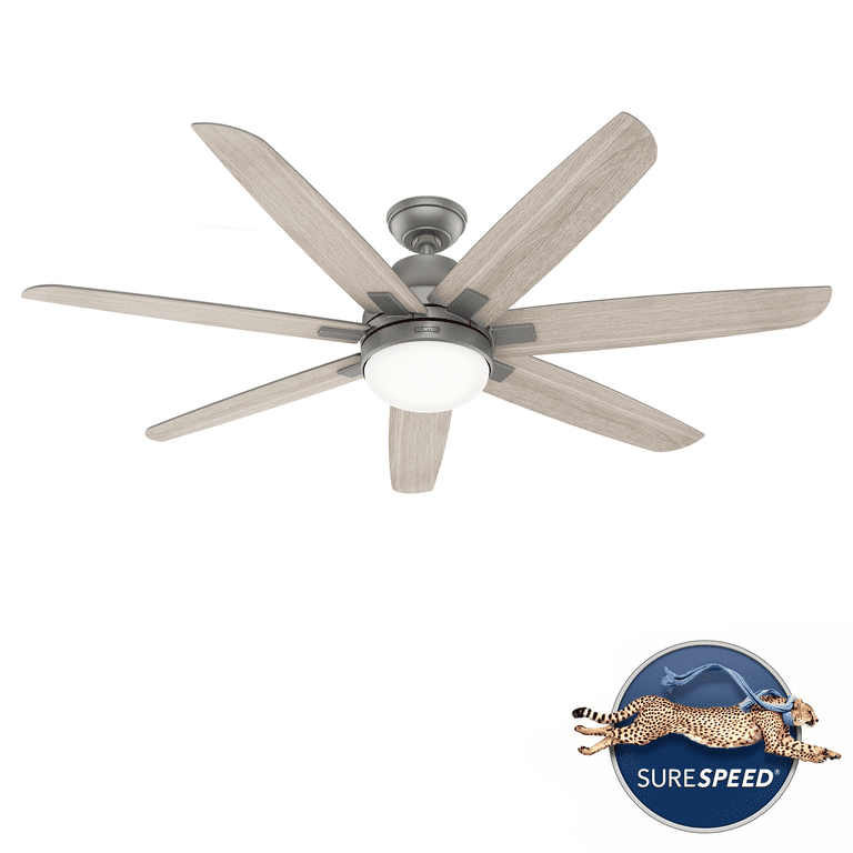Silver Ceiling Fan With Light Kit | Shelly Lighting