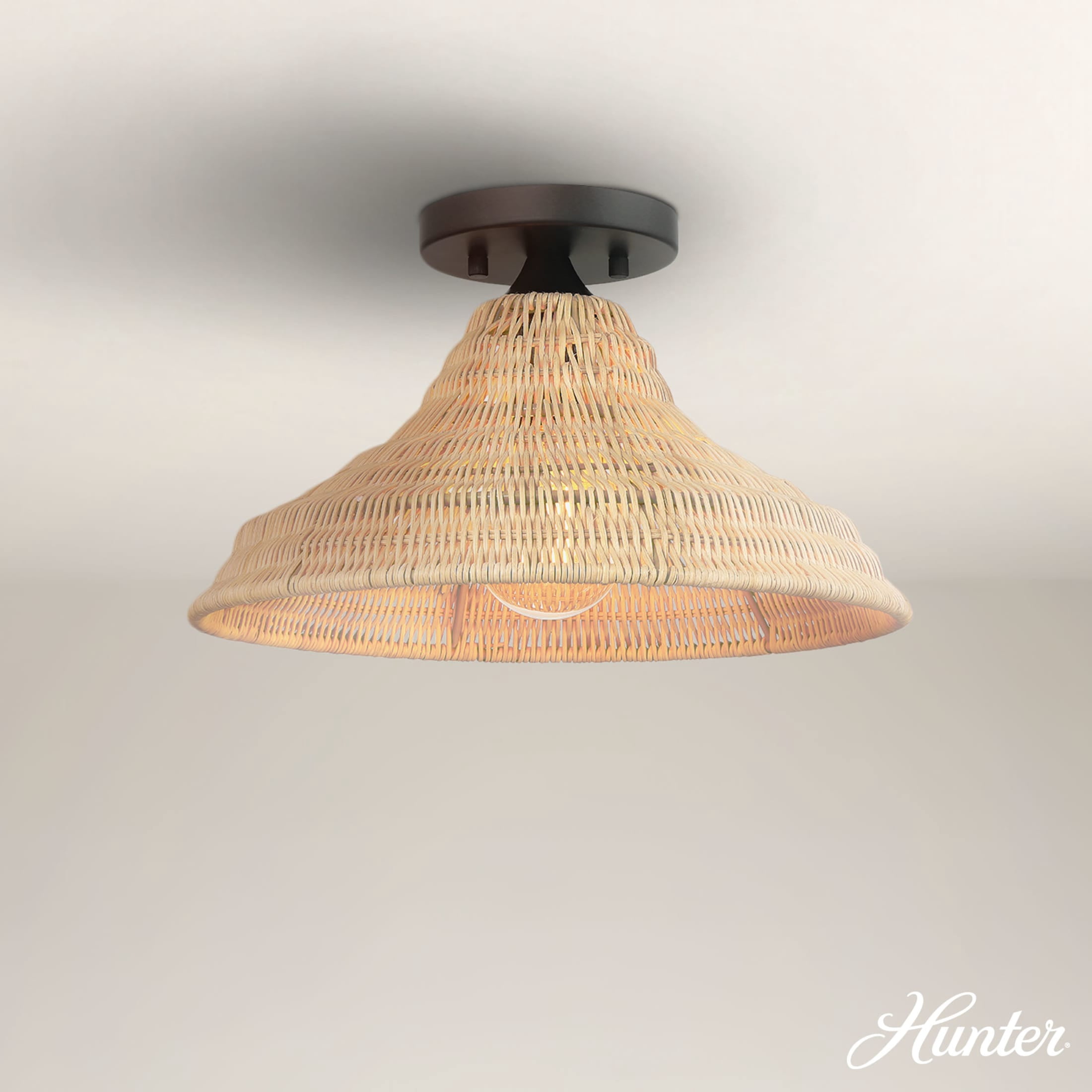 Hunter - Agoura 1-light Matte Black, Large Flush Mount Light, Dimmable ...