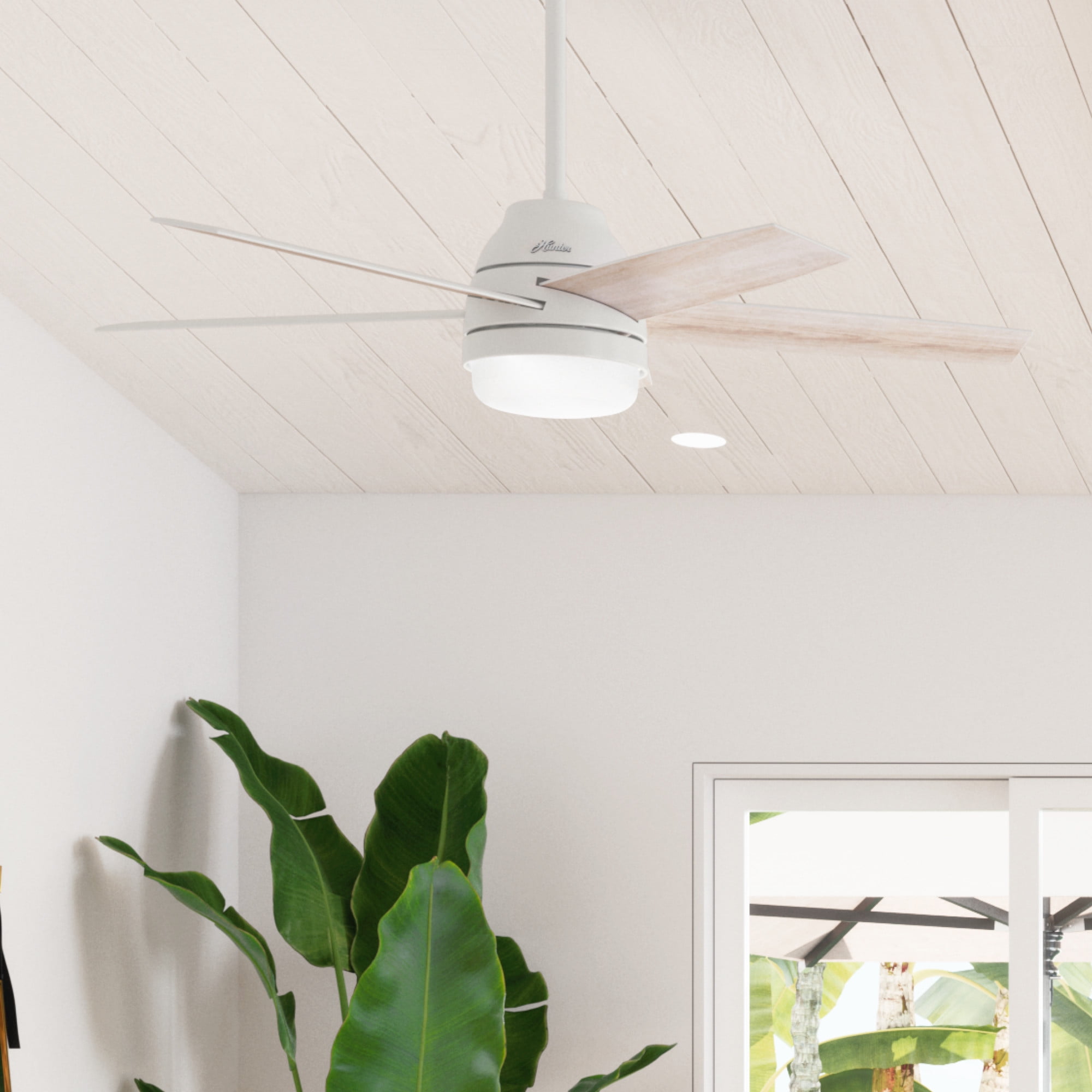 Hunter - Exton Indoor Ceiling Fan With Light, Remote, 52-inch, Fresh ...