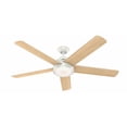 Hunter Fans - Romulus 60 Inch WiFi Ceiling Fan with LED Light Kit and ...