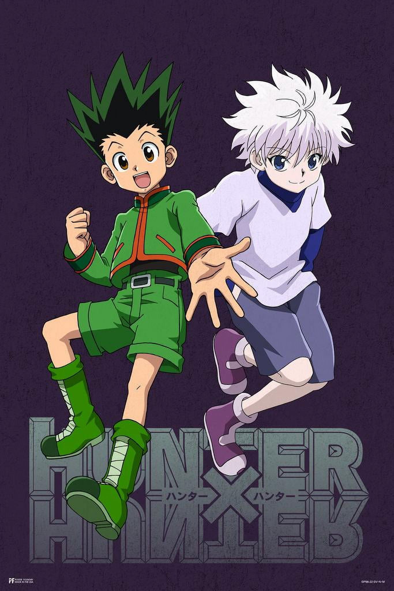 Hunter X Hunter Anime Merch Movie Posters Graphic Gon Killua Wall Art ...