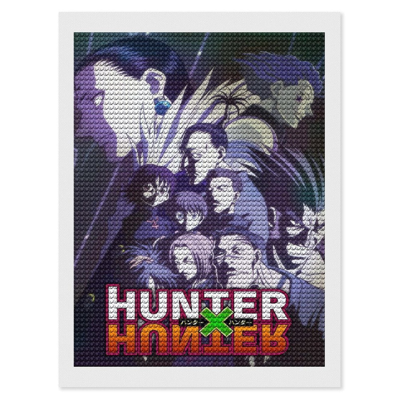 Hunter X Hunter Diamond Art Painting for Adult, DIY Full Round 5D ...