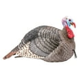 Hunters Specialties 100003 Strut-lite Jake Turkey Decoy - Walmart.com