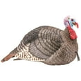 Hunters Specialties 100003 Strut-lite Jake Turkey Decoy - Walmart.com