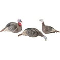 HUNTERS SPECIALTIES HS Strut Lite Flock Jake & Feeding Hen & Upright ...
