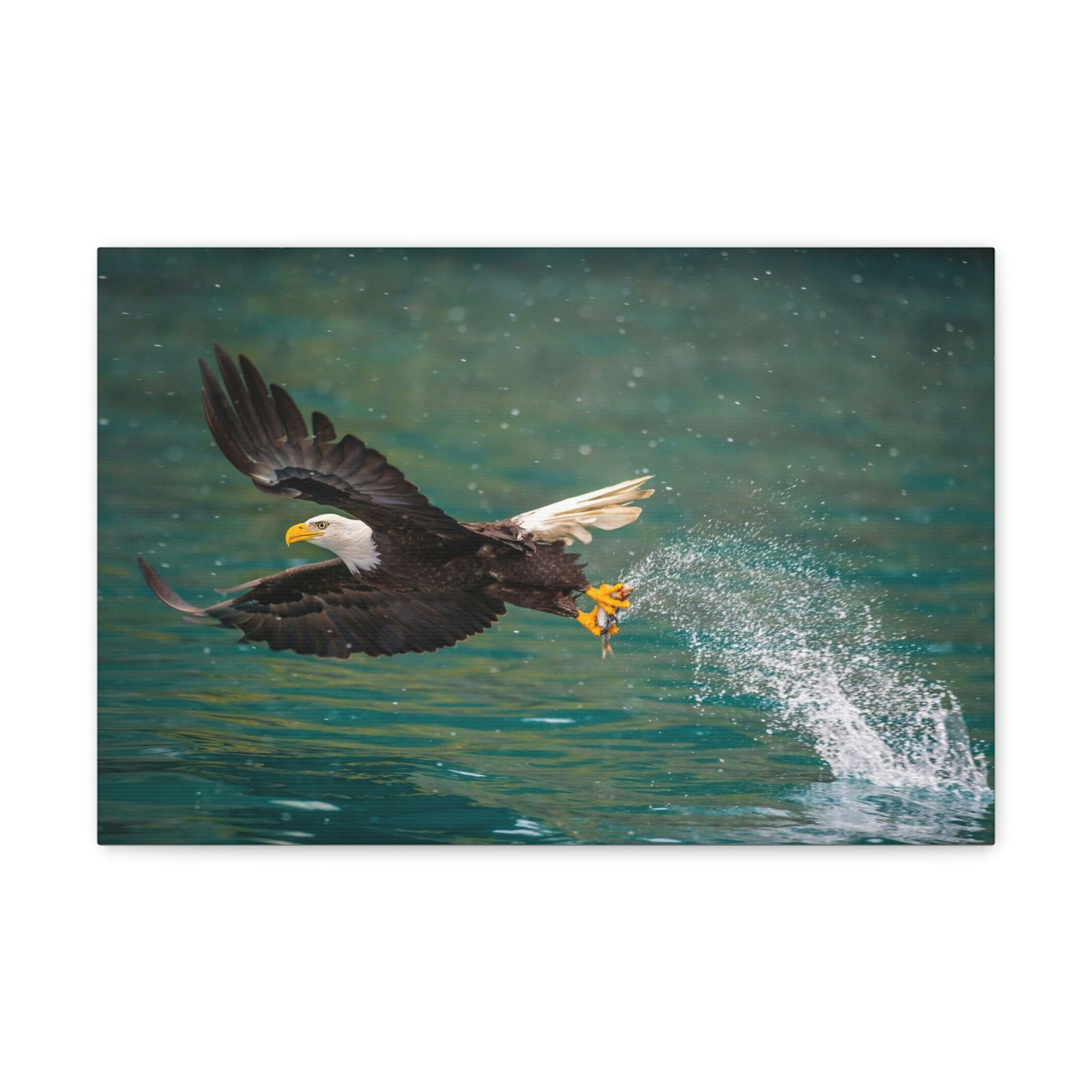 Hunting Bald Eagle Swooping to Catch Fish Print Animal Wall Art ...