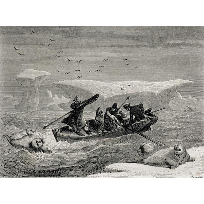 Hunting Walrus with Harpoons In the Spitsbergen Islands Svalbard ...