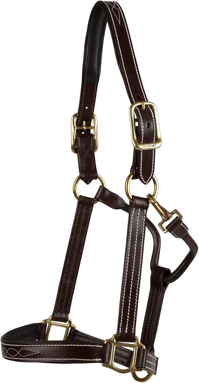 Huntley Equestrian Premium Leather Halter with Snap (Cob, Fancy ...