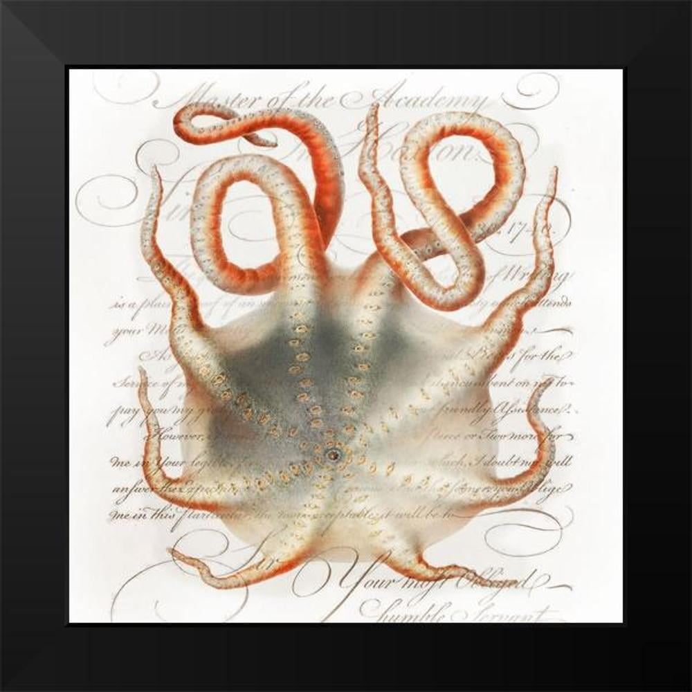 Hunziker, Steve 15x15 Black Modern Framed Museum Art Print Titled ...