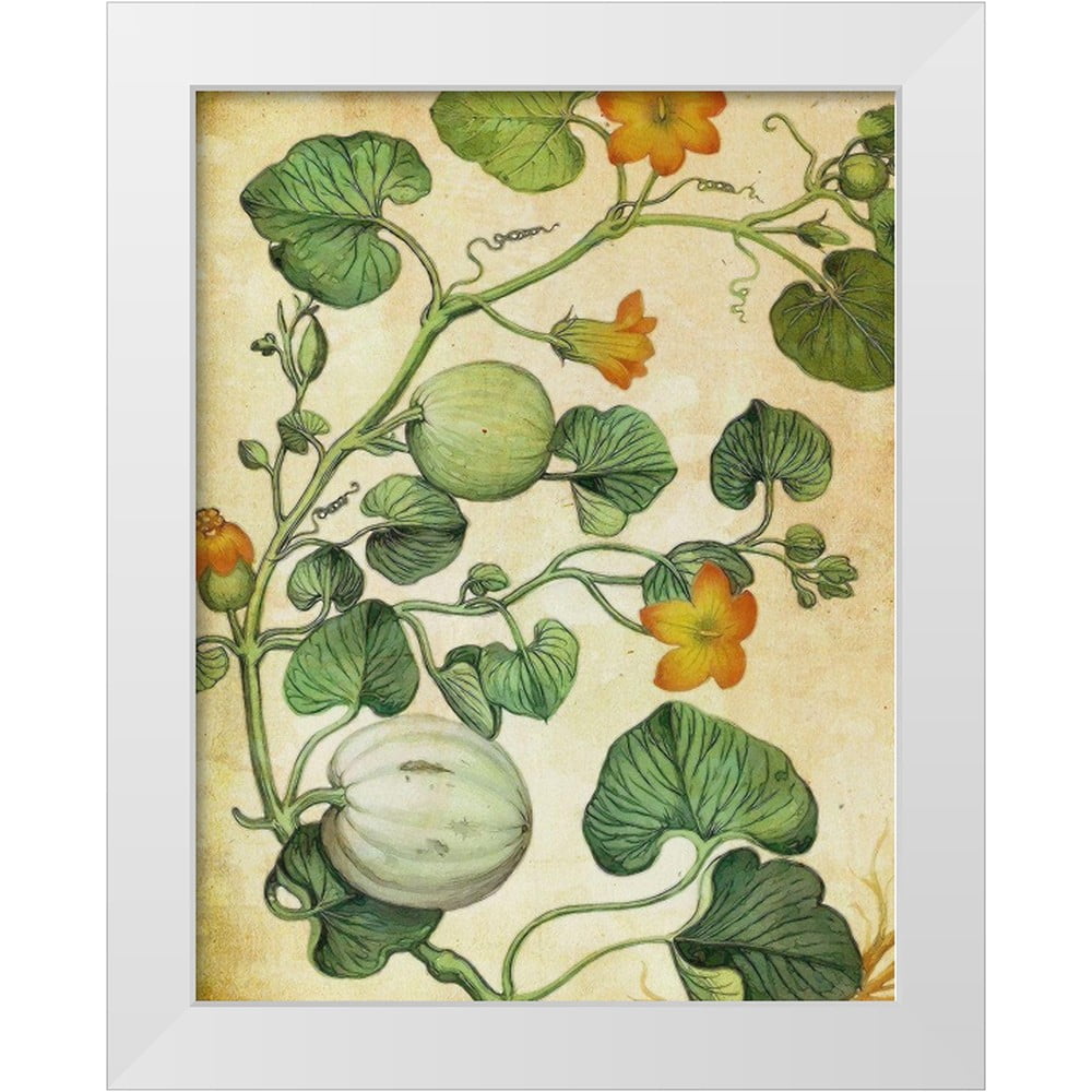 Hunziker, Steve 19x24 White Modern Wood Framed Museum Art Print Titled ...