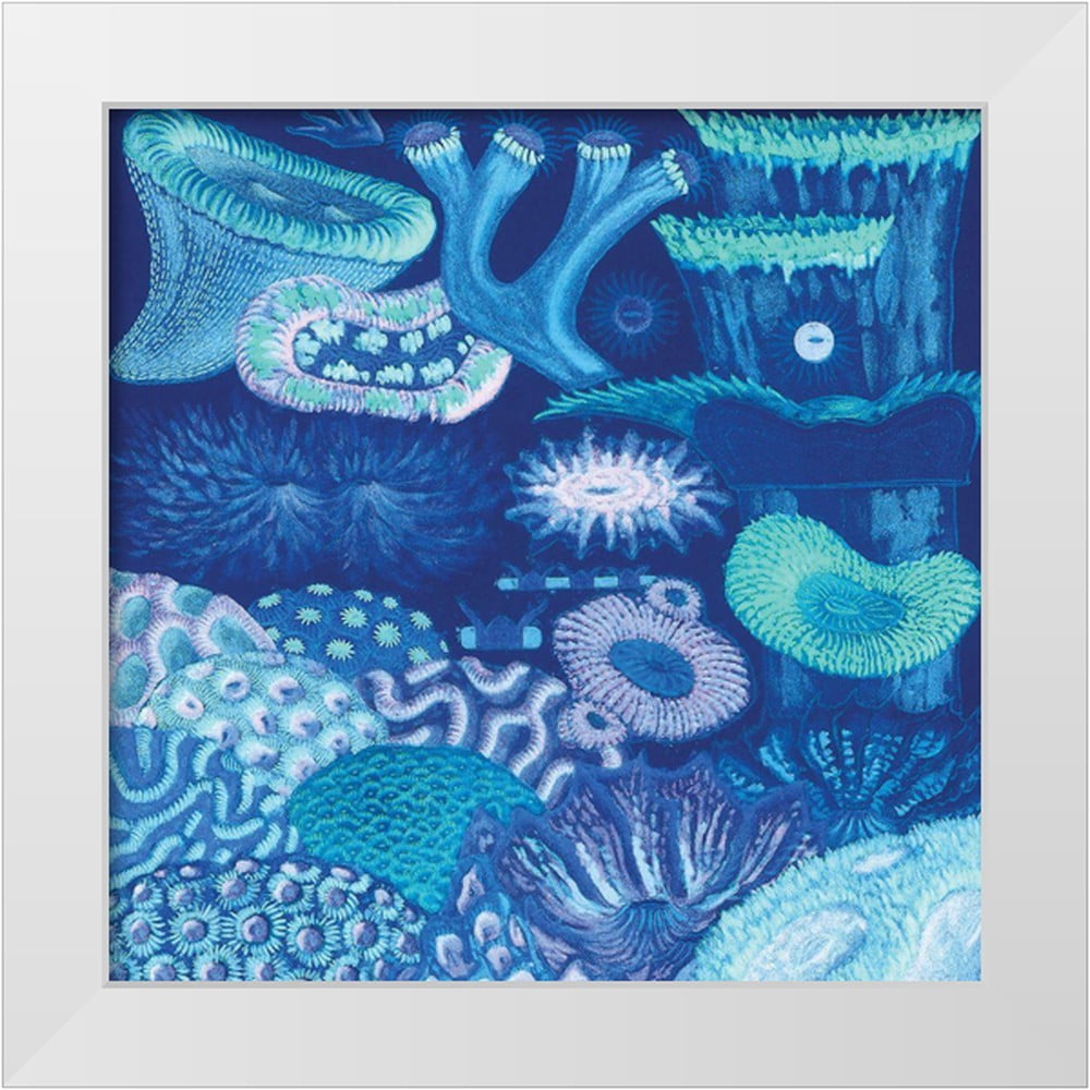 Hunziker, Steve 20x20 White Modern Wood Framed Museum Art Print Titled ...