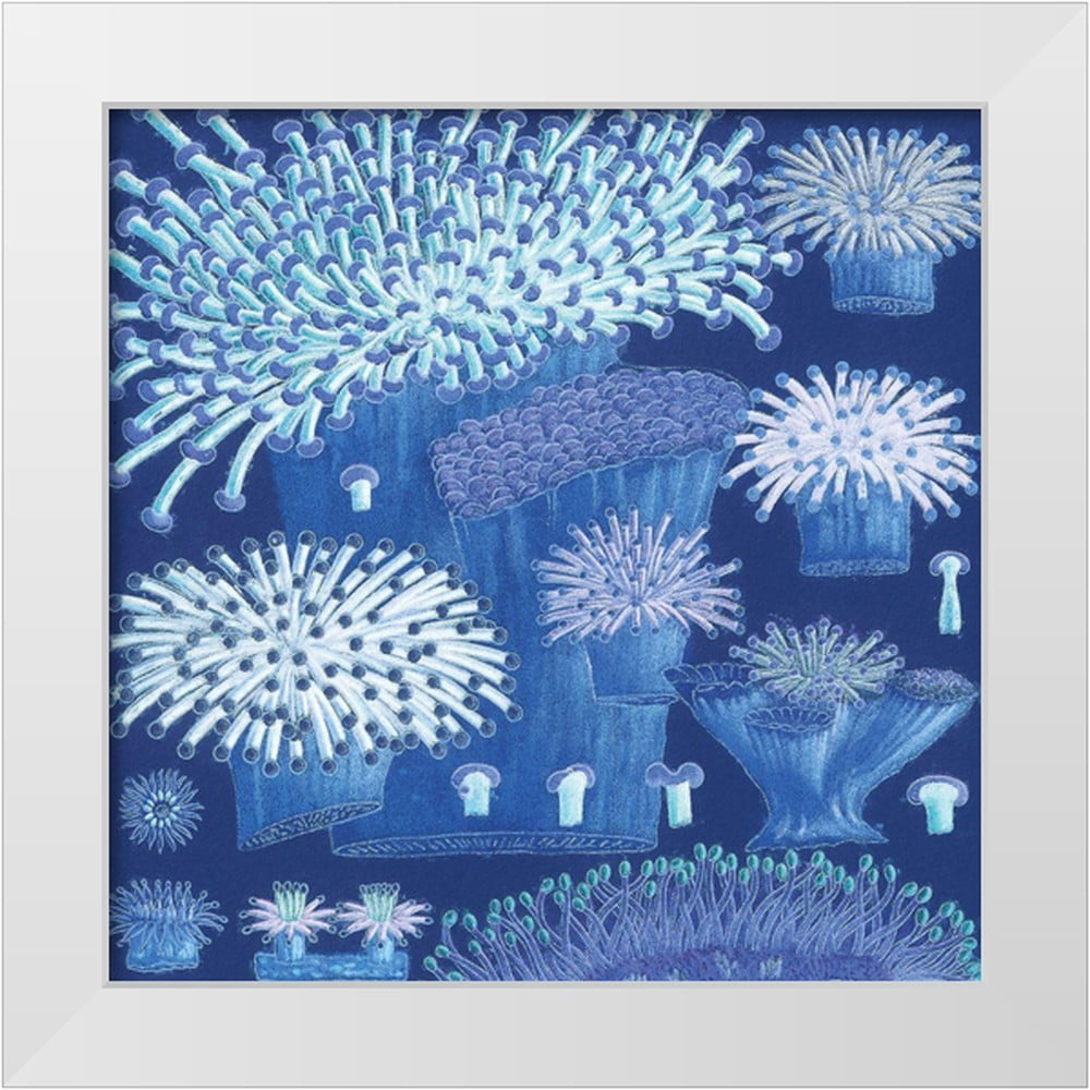 Hunziker, Steve 26x26 White Modern Wood Framed Museum Art Print Titled ...