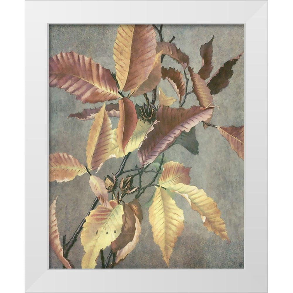 Hunziker, Steve 26x32 White Modern Wood Framed Museum Art Print Titled ...