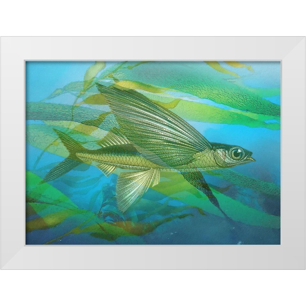 Hunziker, Steve 32x24 White Modern Wood Framed Museum Art Print Titled ...