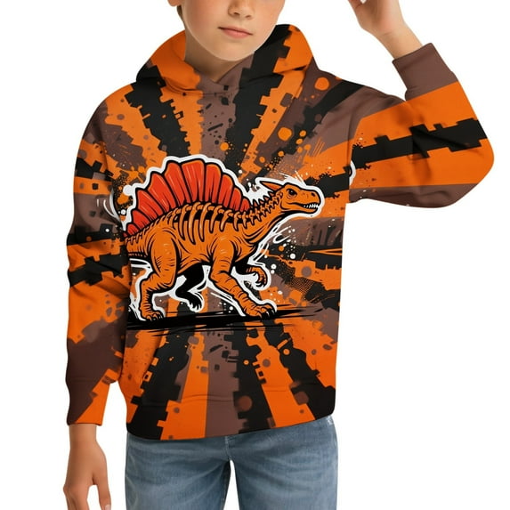 Huowey Children Boys Graphic Hoodie Sweatshirt Fashion Dinosaur Print ...