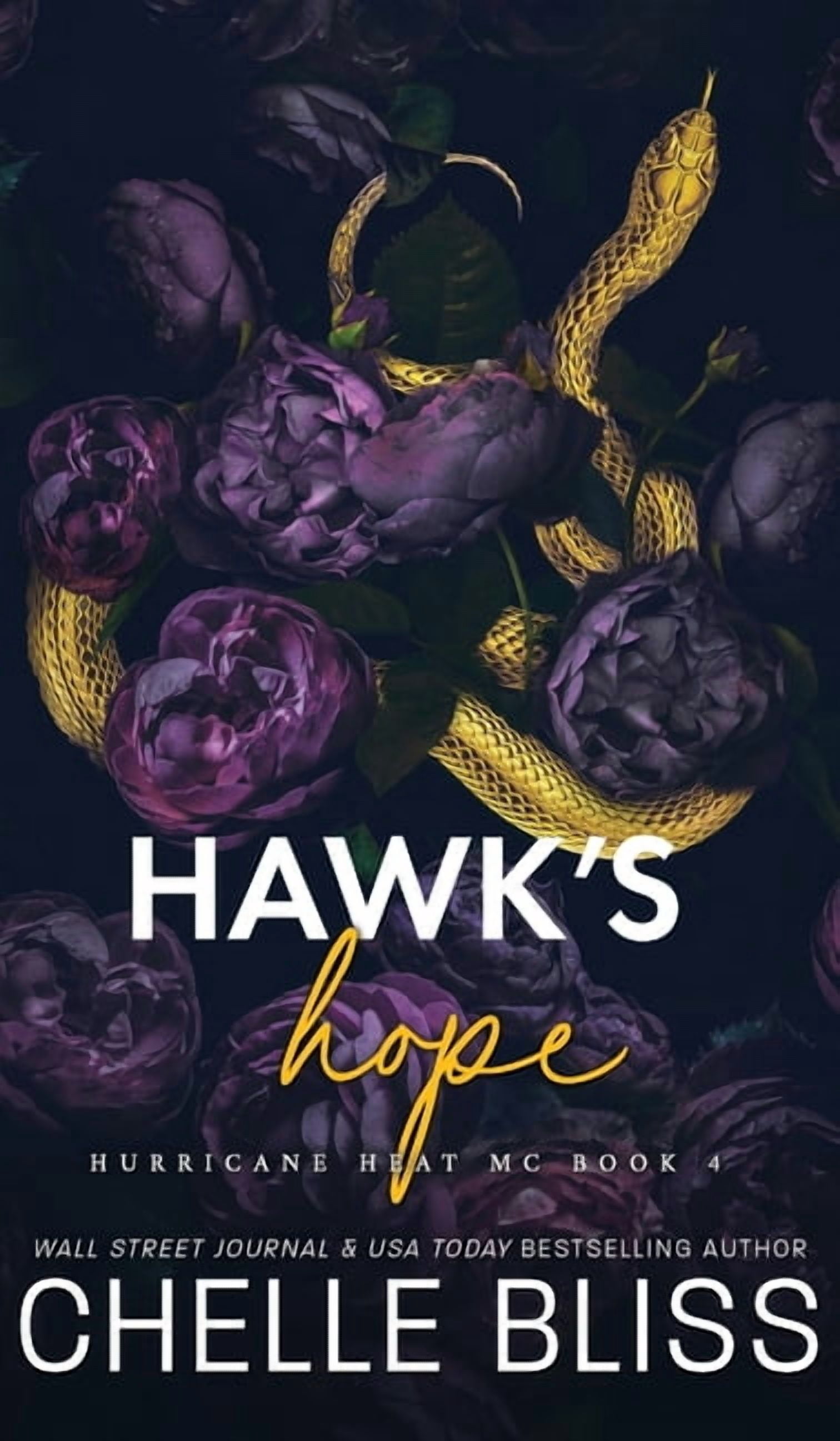 Hurricane Heat MC Hawk's Hope, Book 4, (Hardcover) - Walmart.com